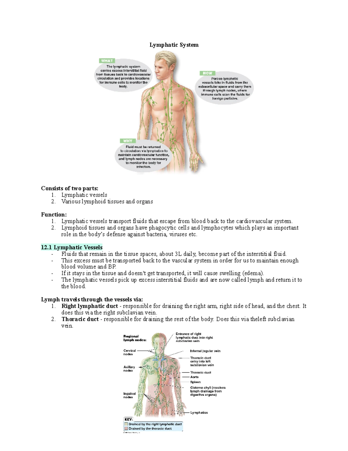 Test 1 Anatomy: Study Checklist for Lectures 2-4 (40 MCQs, 7 SAQs ...