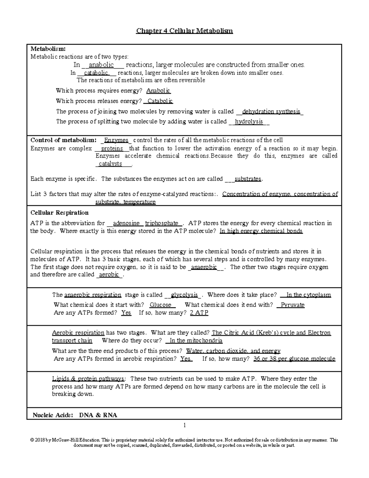 Chapter 4: Cellular Metabolism Overview - Studocu