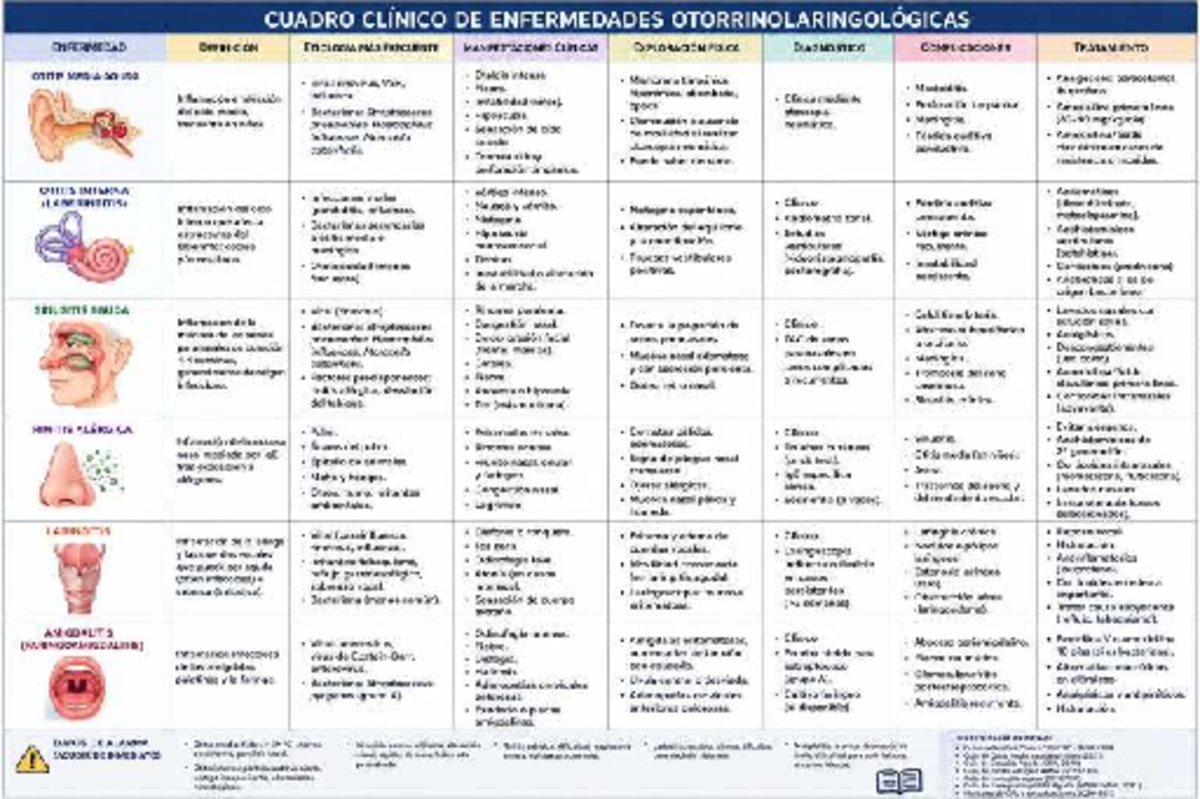 Cuadro Clínico de Enfermedades Otorrinolaringológicas: Resumen y ...