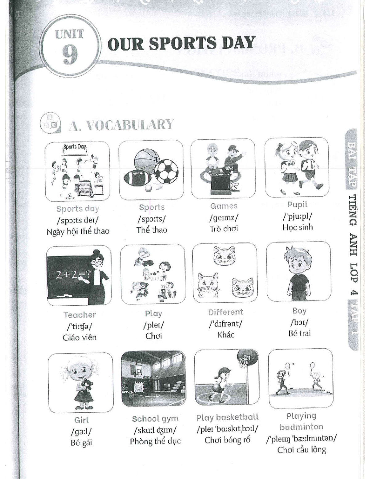 Unit 9: Our Sports Day - English Theory for Grade 4 - Studocu