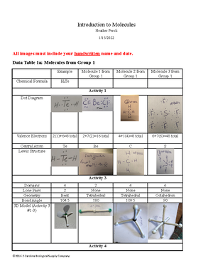 CHM 101L M2 Intro to Molecules Lab Report - Introduction to Molecules ...