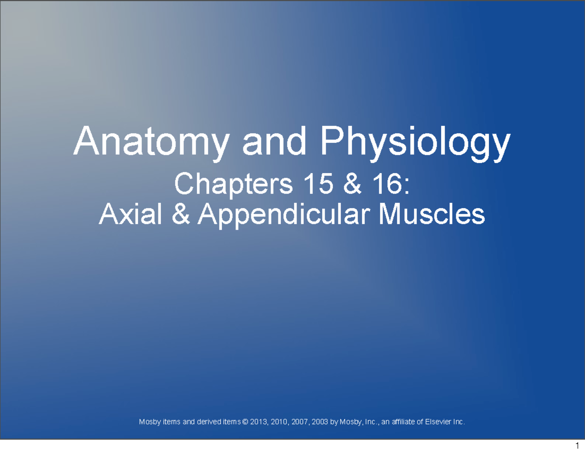 Anatomy & Physiology: Axial & Appendicular Muscles (Ch. 15 & 16) - Studocu