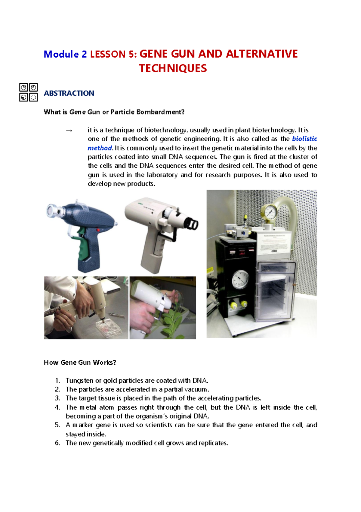 Module 2 Lesson 5 Gene Gun and Alternative Techniques - Module 2 LESSON ...