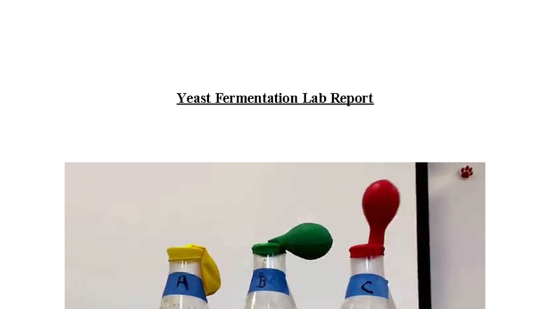 SBI4Ua Yeast Fermentation Lab Report: Gas Production Analysis - Studocu