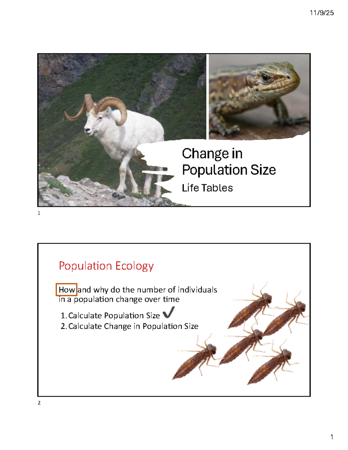 Population Ecology: Life Tables and Change in Size - Studocu