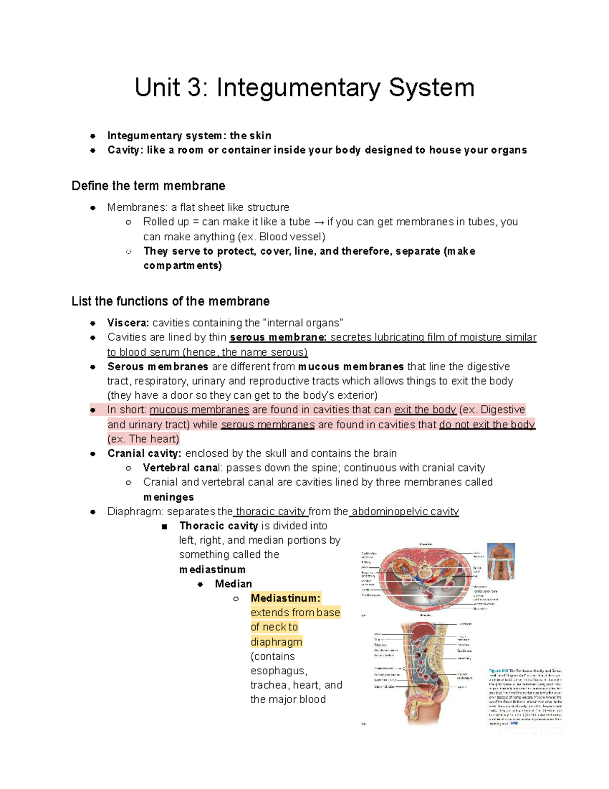 Unit 3: Integumentary System Lecture Notes (Unit 2) - Studocu