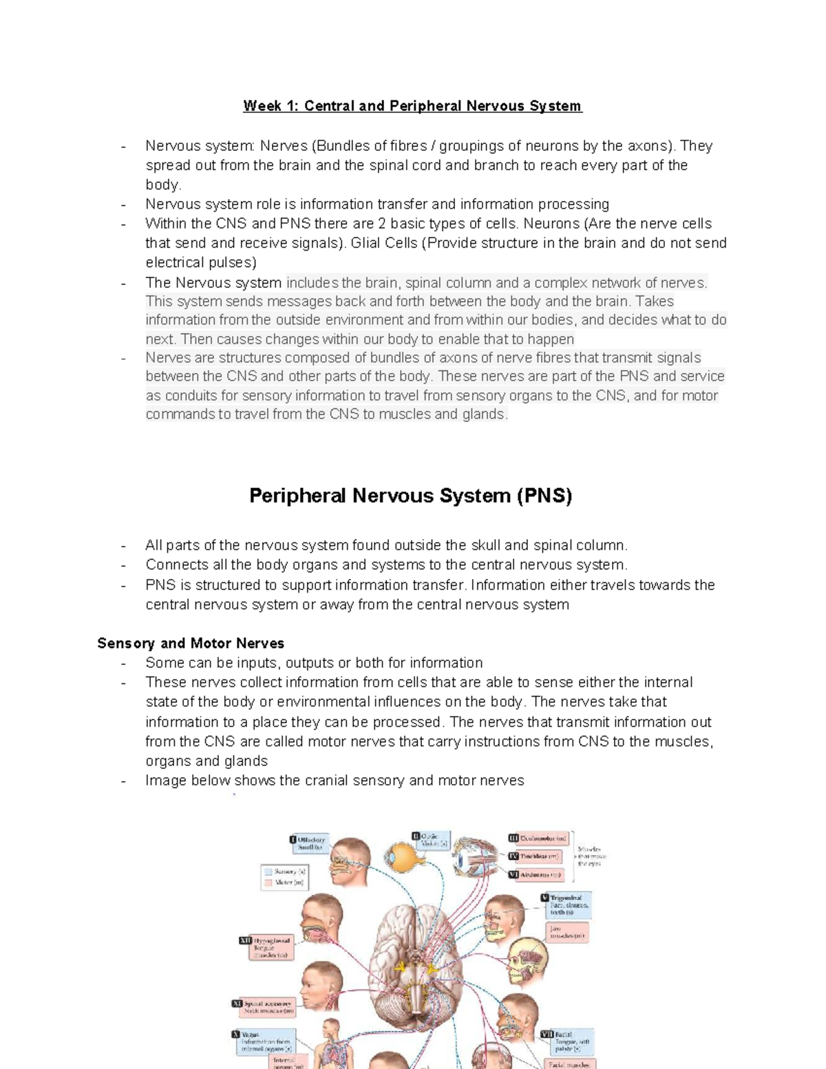 Week 1: Overview of Central & Peripheral Nervous System Functions - Studocu