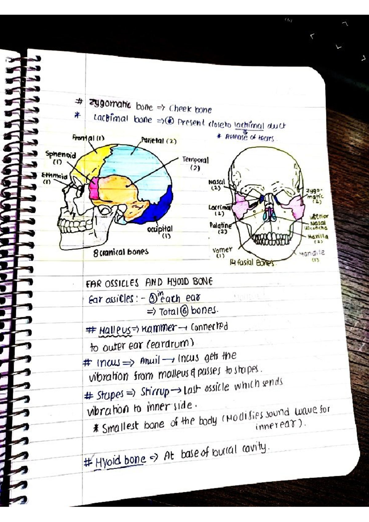 Biology Notes: Anatomy of Bones and Morphology of Organisms - Studocu