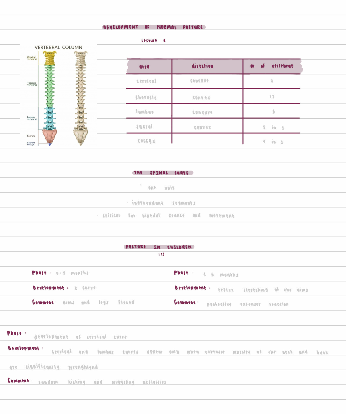 Development of normal posture - DEVELOPMENT OF NORMAL POSTURE lecture 2 ...