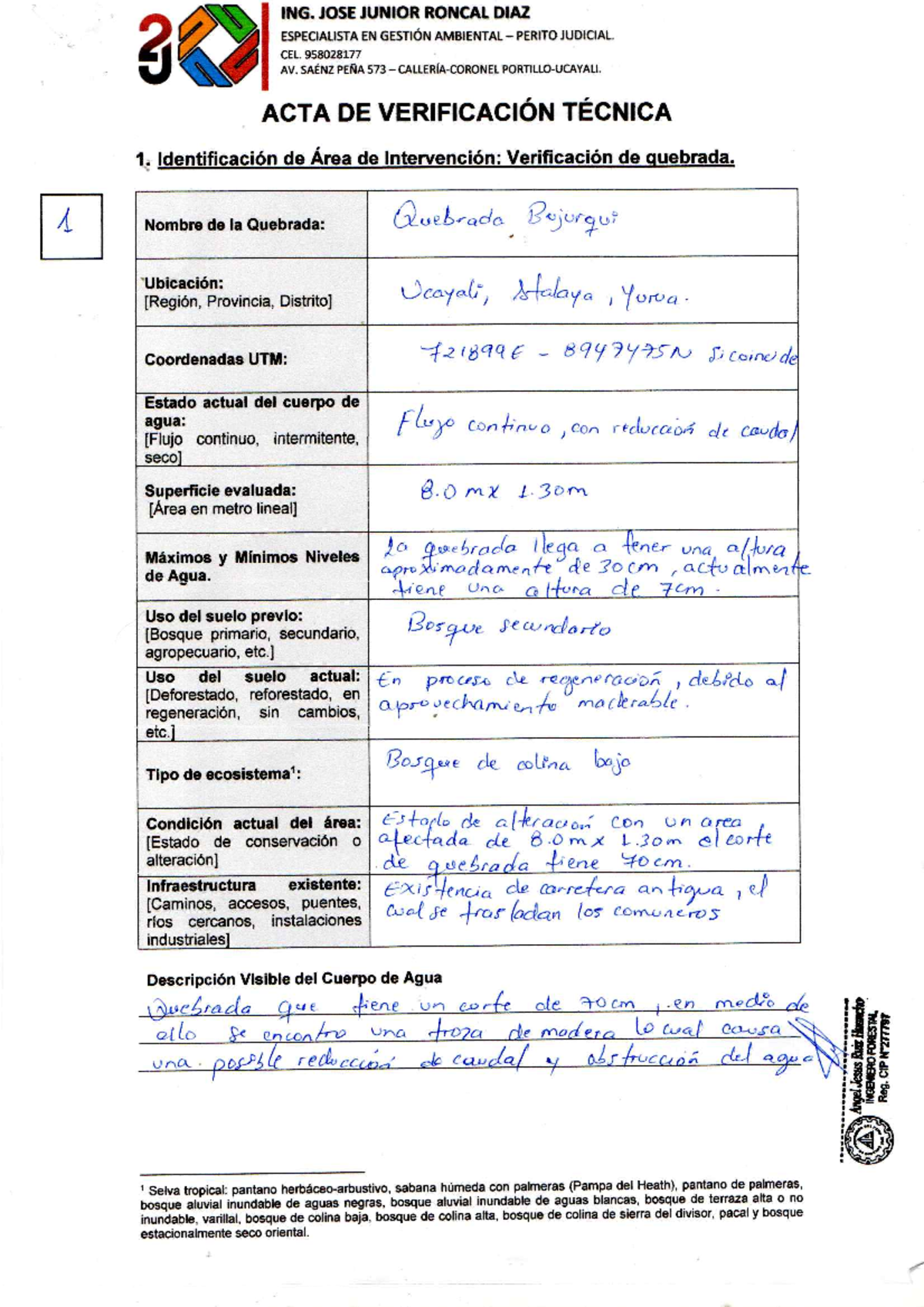 Fichas de Peritaje Ambiental: Verificación de Quebradas - ING. JJR 3 ...