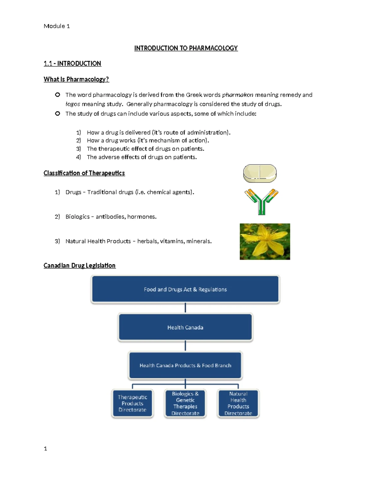 CNO Documentation Practice Standards: Revised 2008 Overview - Studocu