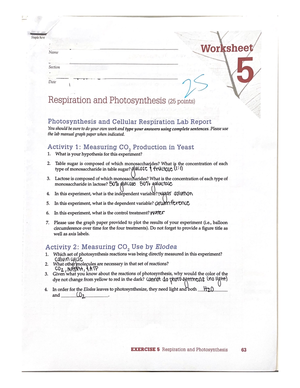 General Biology Final Exam Study Guide - GENERAL BIOLOGY I / REVIEW ...