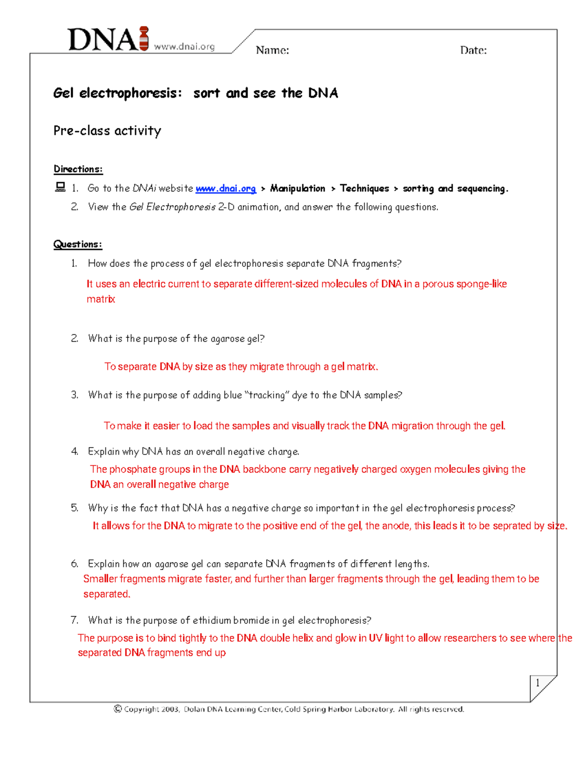 Kami Export - annotated-DNA%20fingerprinting%20and%20gel%20elect - Gel ...