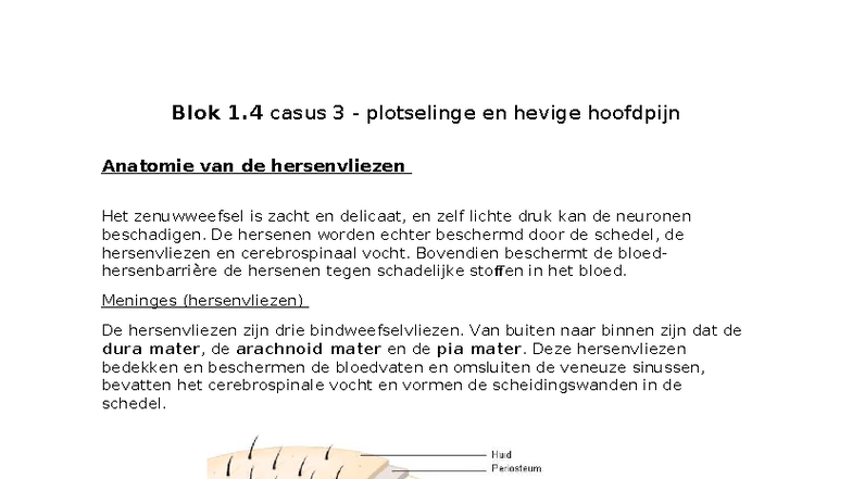 Blok 1.4 Casus 3 - Vascularisatie en Hersenvliezen van de Hersenen ...