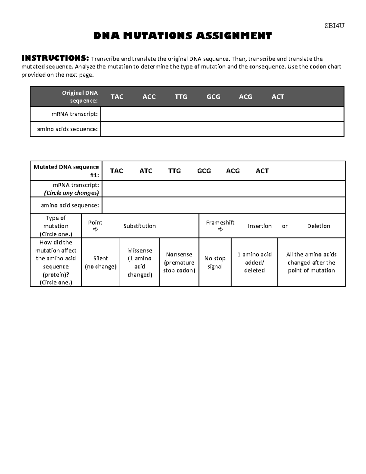 SBI4U DNA Mutation Analysis Worksheet: Transcription & Translation ...