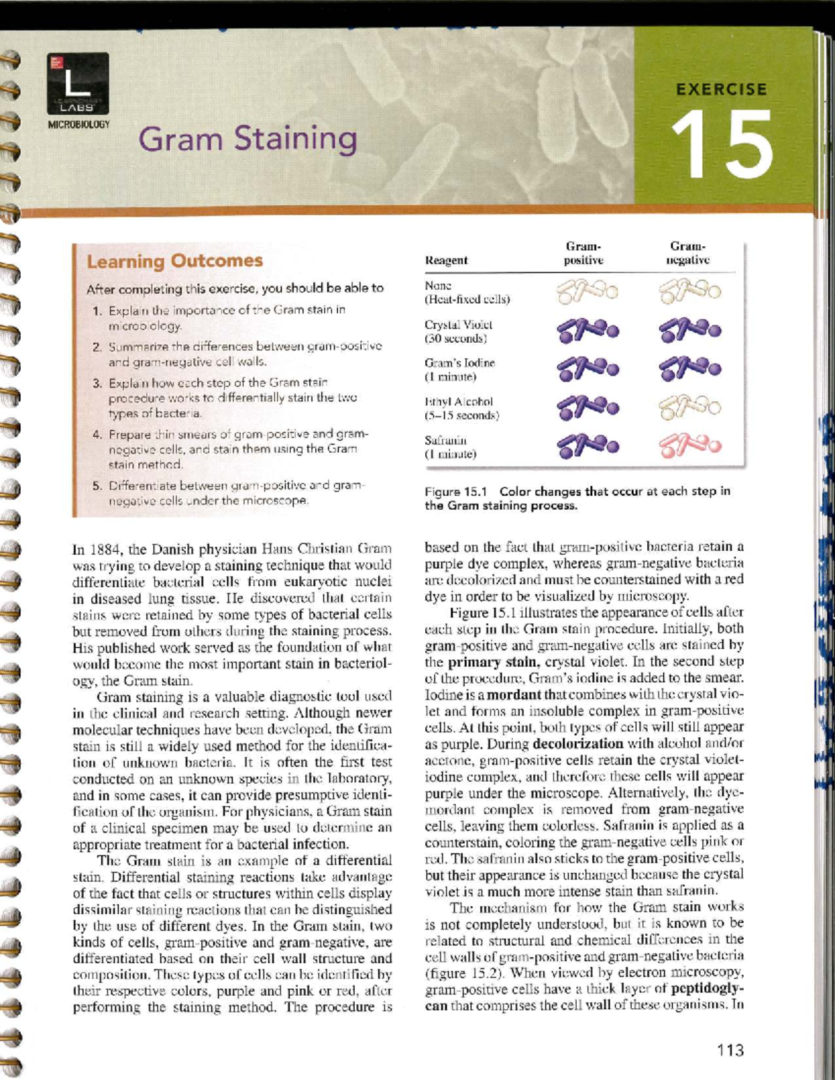 MICROBIOLOGY LAB EXERCISE 15: Gram Staining Techniques and Outcomes - Studocu