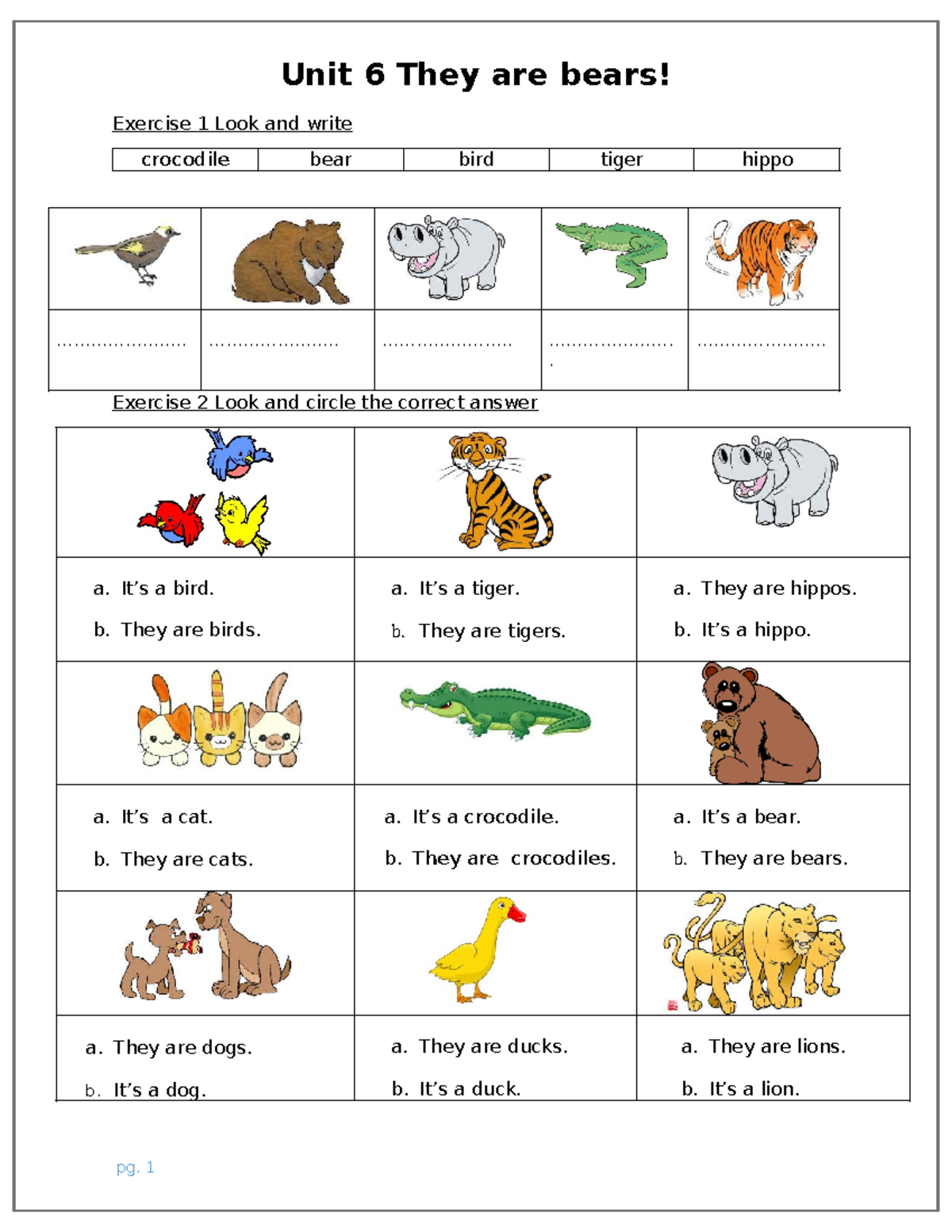 Unit 6 - They Are Bears! Exercise & Activities Guide - Studocu