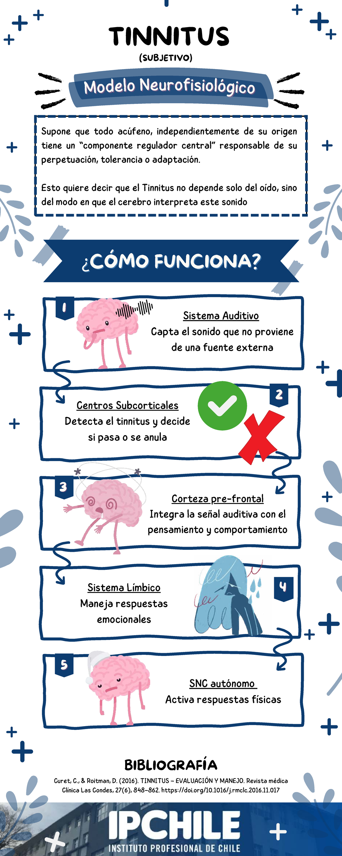 Infografía sobre Tinnitus: Modelo Neurofisiológico y Función - Studocu