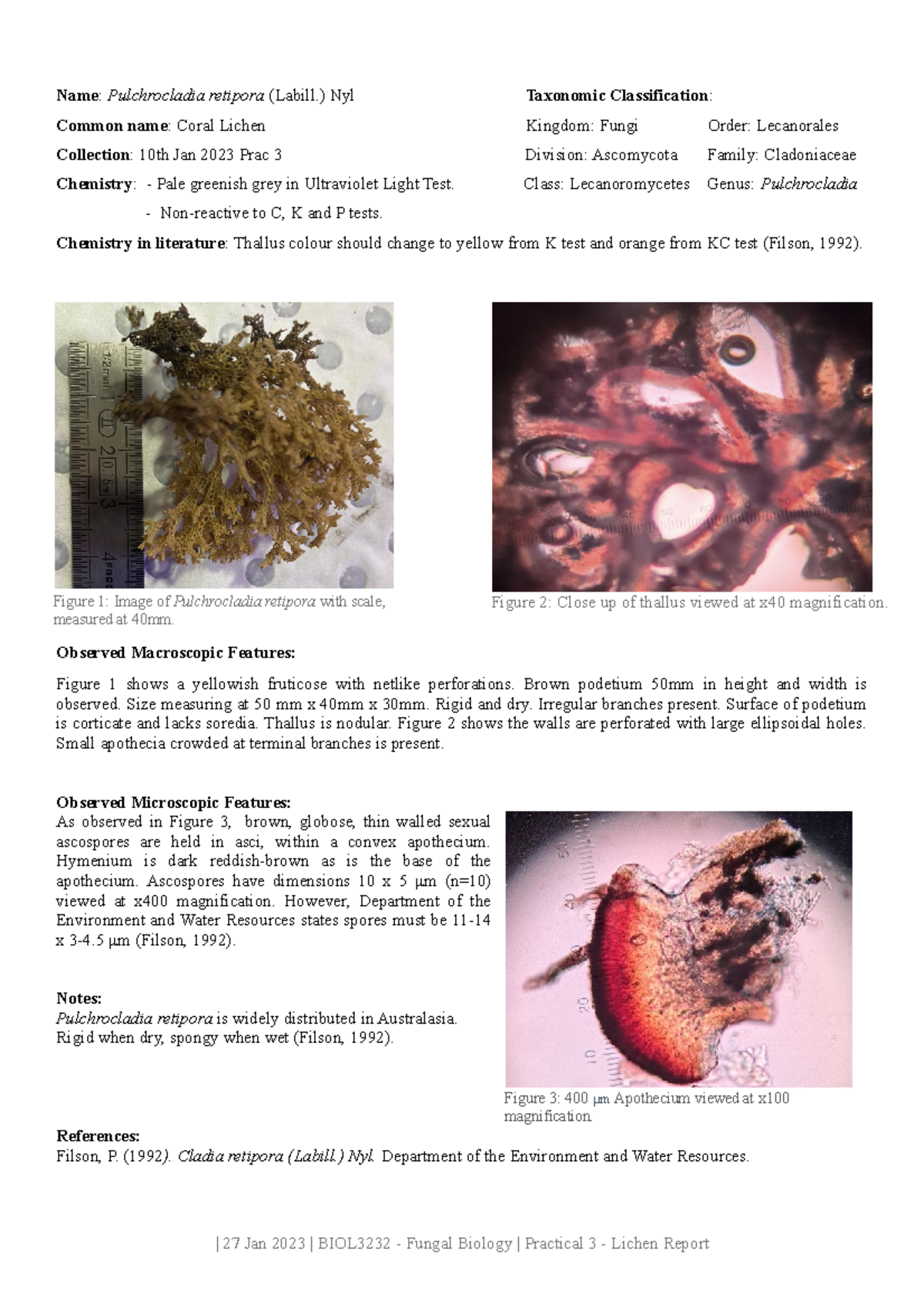 BIOL3232 - Fungal Biology Prac 3 Report on Lichens Analysis - Studocu