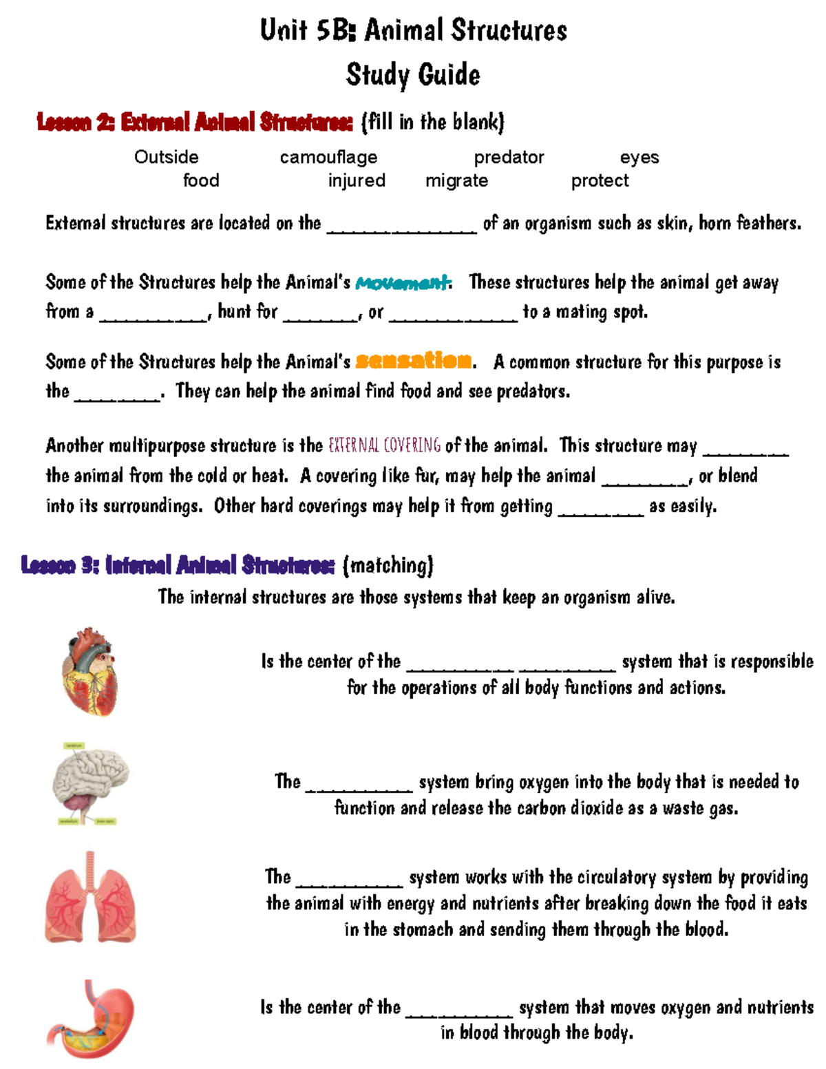 SCI Study Guide - Unit 5B Animal Structures: External & Internal ...