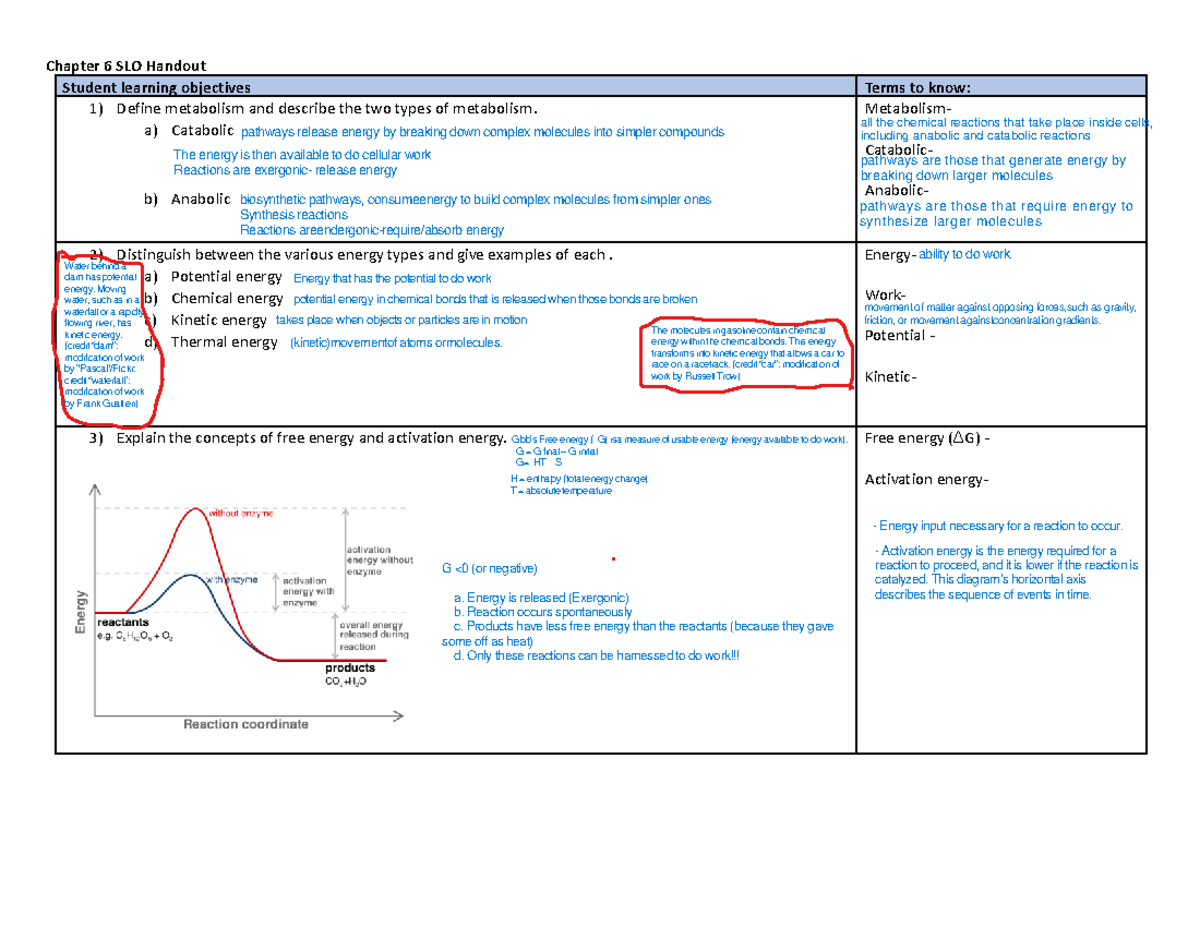 Lesson 6: Chapter 6 SLOs on Metabolism and Energy Reactions - Studocu
