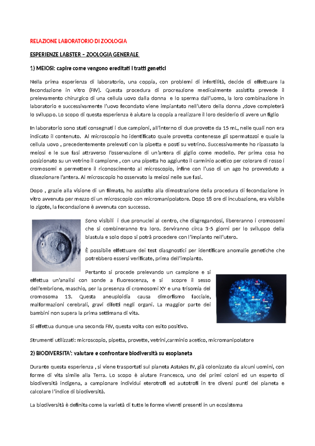 Relazione Laboratorio di Zoologia - Meiosi e Biodiversità su Astakos IV ...