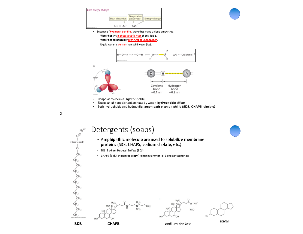 Biochemistry Lecture 13: Summary on Protein Structure & Enzyme Kinetics ...