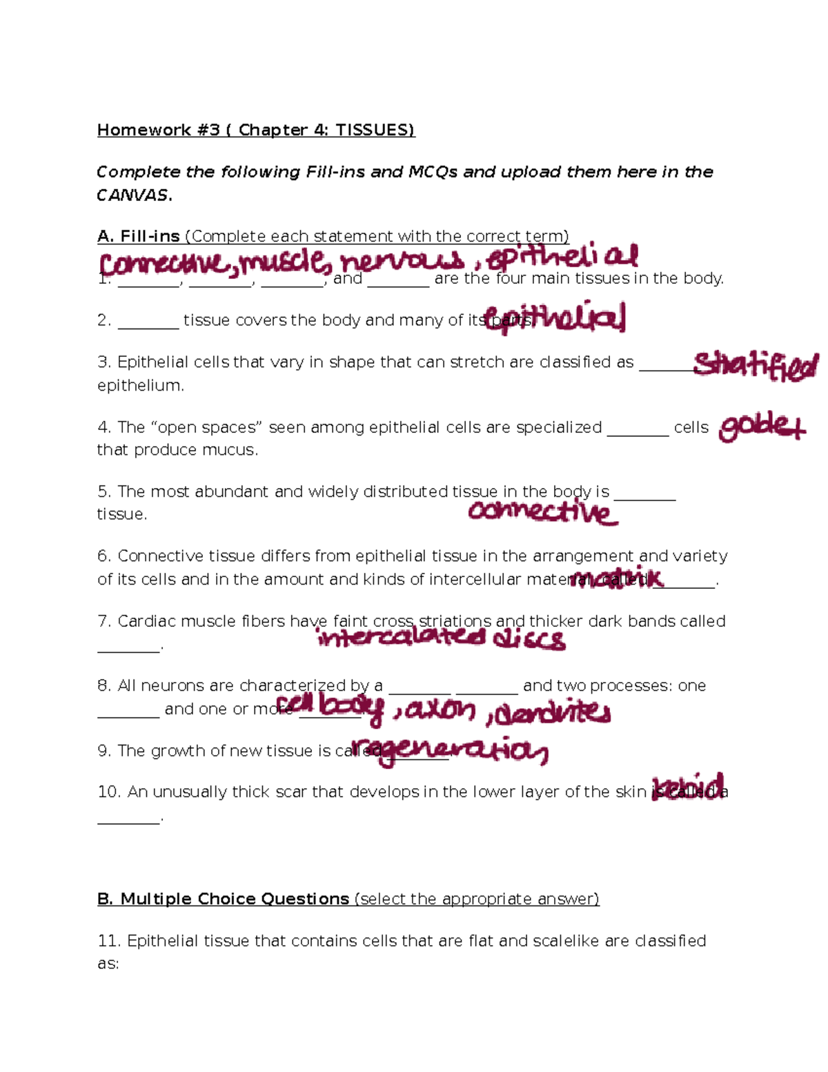 AP HW3 - Chapter 4 Tissues: Fill-ins & MCQs Solutions - Studocu
