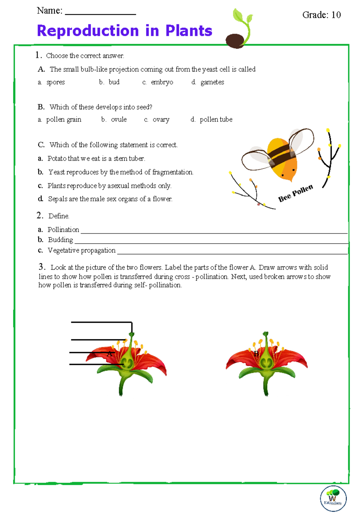 Grade 10 Reproduction in Plants: Asexual Reproduction Worksheet - Studocu