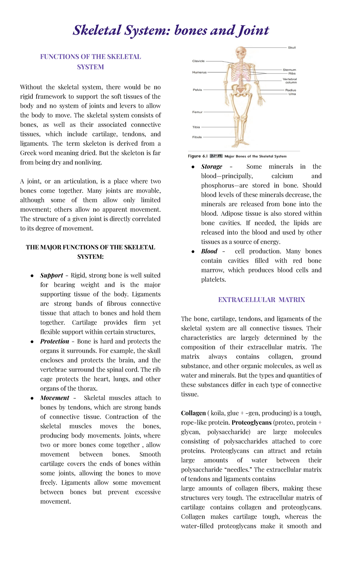 Gen Bio 2 - Functions and Features of the Skeletal System Notes - Studocu