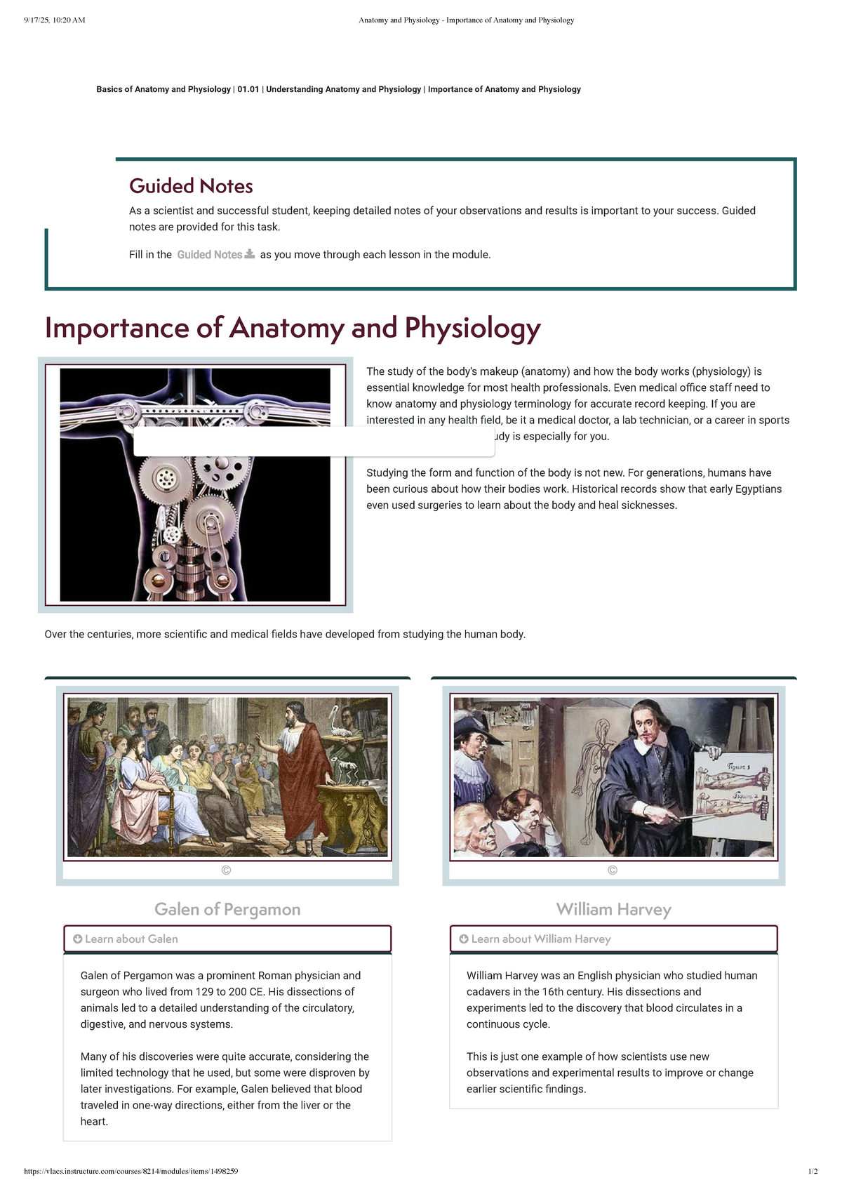 Understanding Anatomy and Physiology: Guided Notes for HLT 01.01 - Studocu