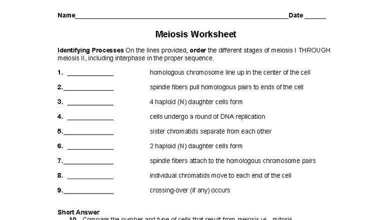 Meiosis Worksheet: Identifying Stages and Processes - Studocu