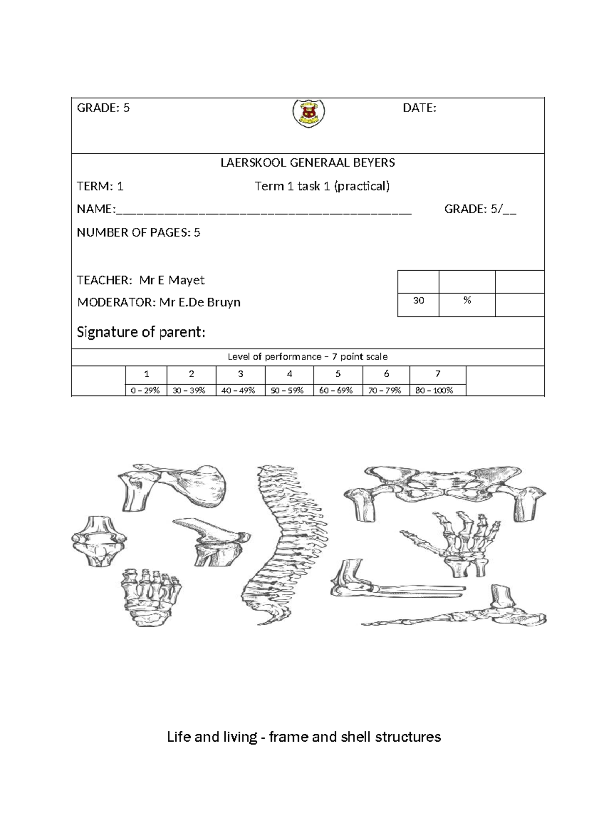 Grade 5 NS Term 1 Task 1: Vertebrate Skeleton Project Guide - Studocu
