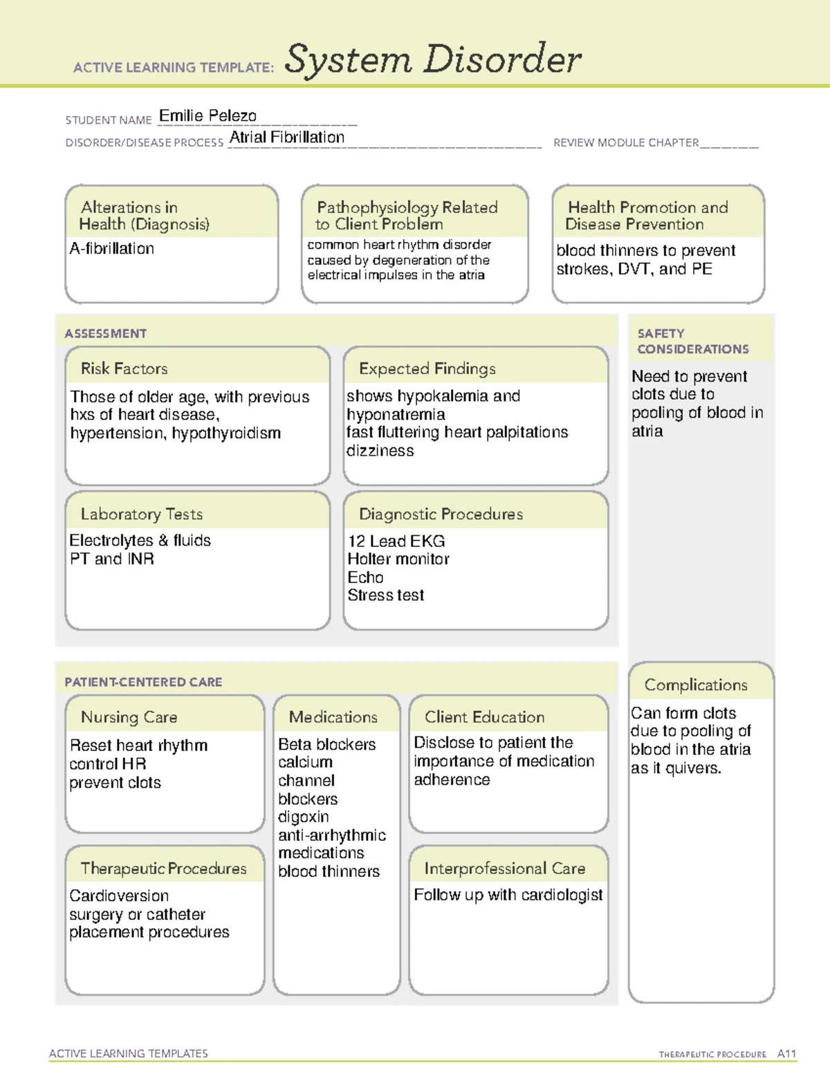 Nursing Priority Assessment Concept ATI Map - ACTIVE LEARNING TEMPLATES ...
