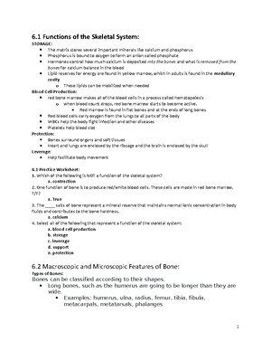 Unit 6 Skeletal System - 6 Functions of the Skeletal System: STORAGE: The matrix stores several ...