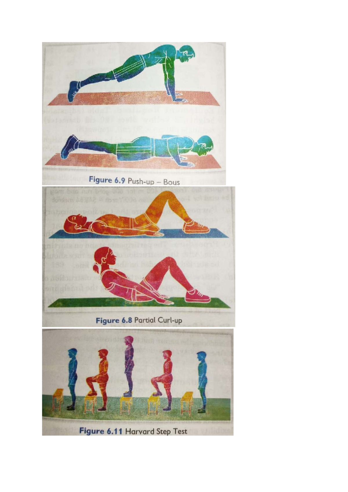 Modified Push-Up Techniques and Tests for PE 5m - Studocu