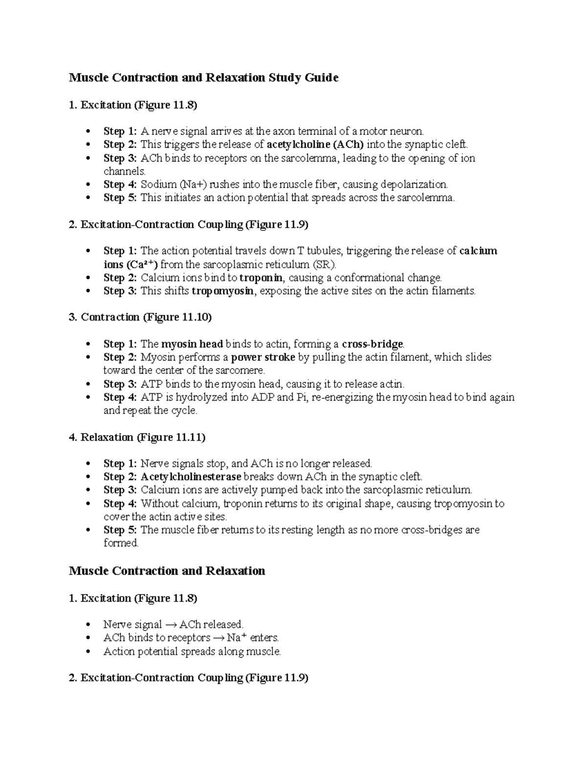 Muscle Contraction & Relaxation Study Guide (Ch11, Figures 11) - Studocu