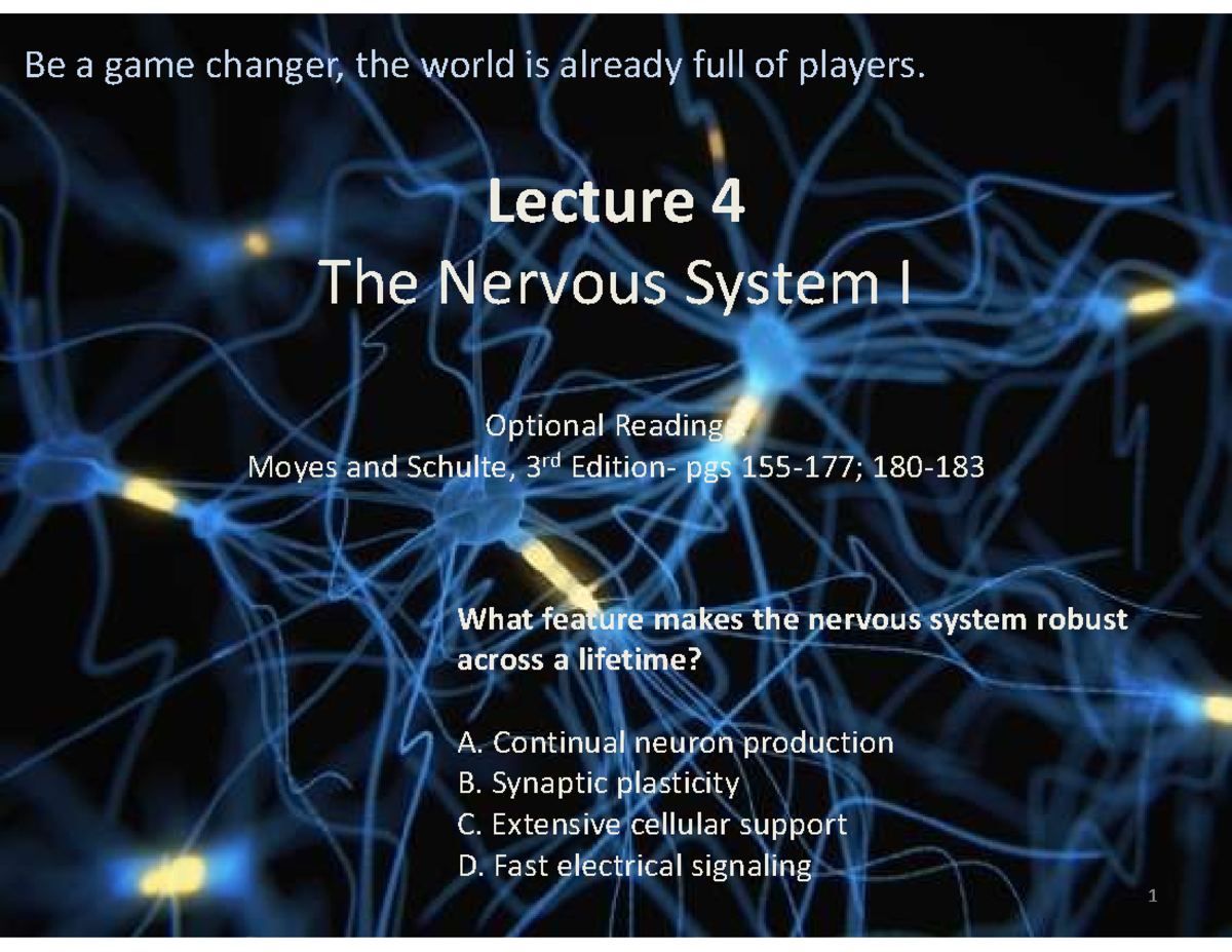 Lecture 4: The Nervous System I - Key Concepts and Readings - Studocu