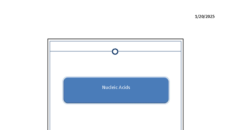 Protein Synthesis and Mutations: Concepts and Practice Problems (BIO ...
