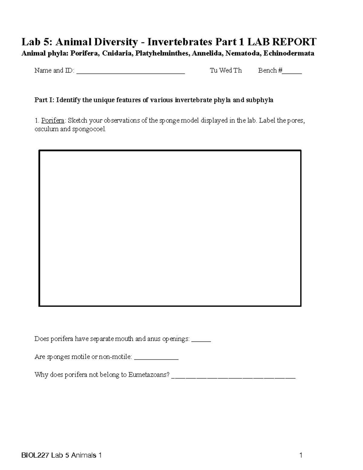 BIOL227 Lab 5: Invertebrate Diversity Report - Part 1 Analysis - Studocu
