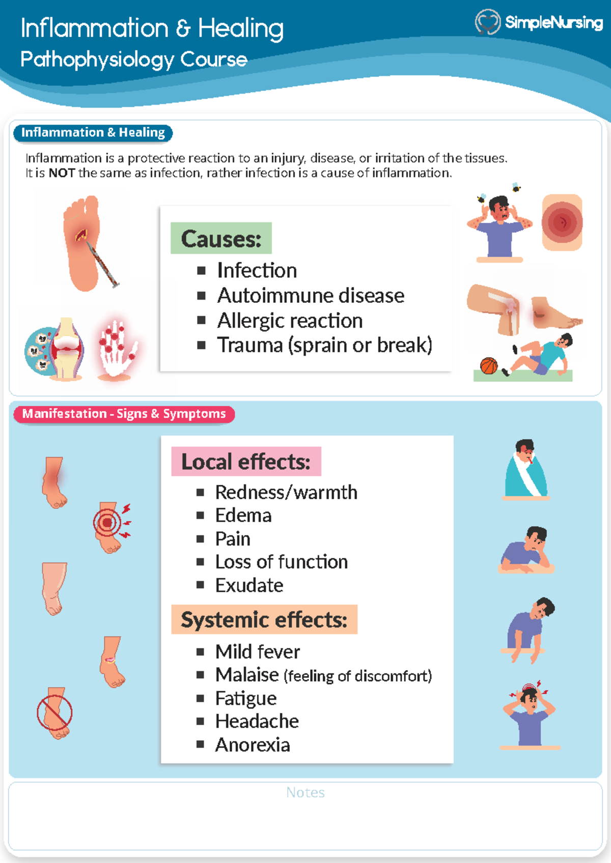 Inflammation - Healing - Inflammation & Healing Pathophysiology Course ...