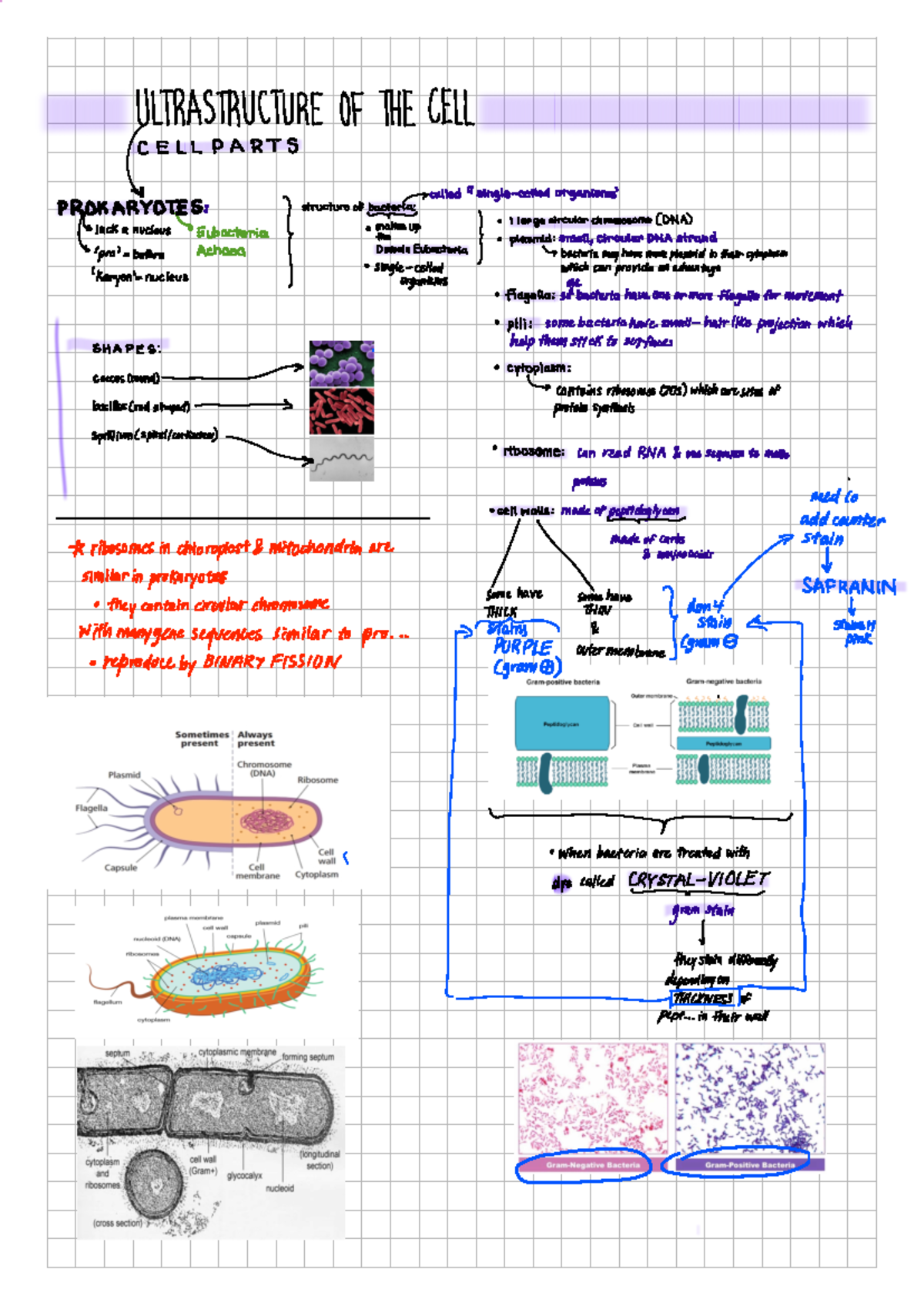 1.2 Cell organelles - Bio - ULTRASTRUCTURE OF THE CELL CELLPARTS called ...