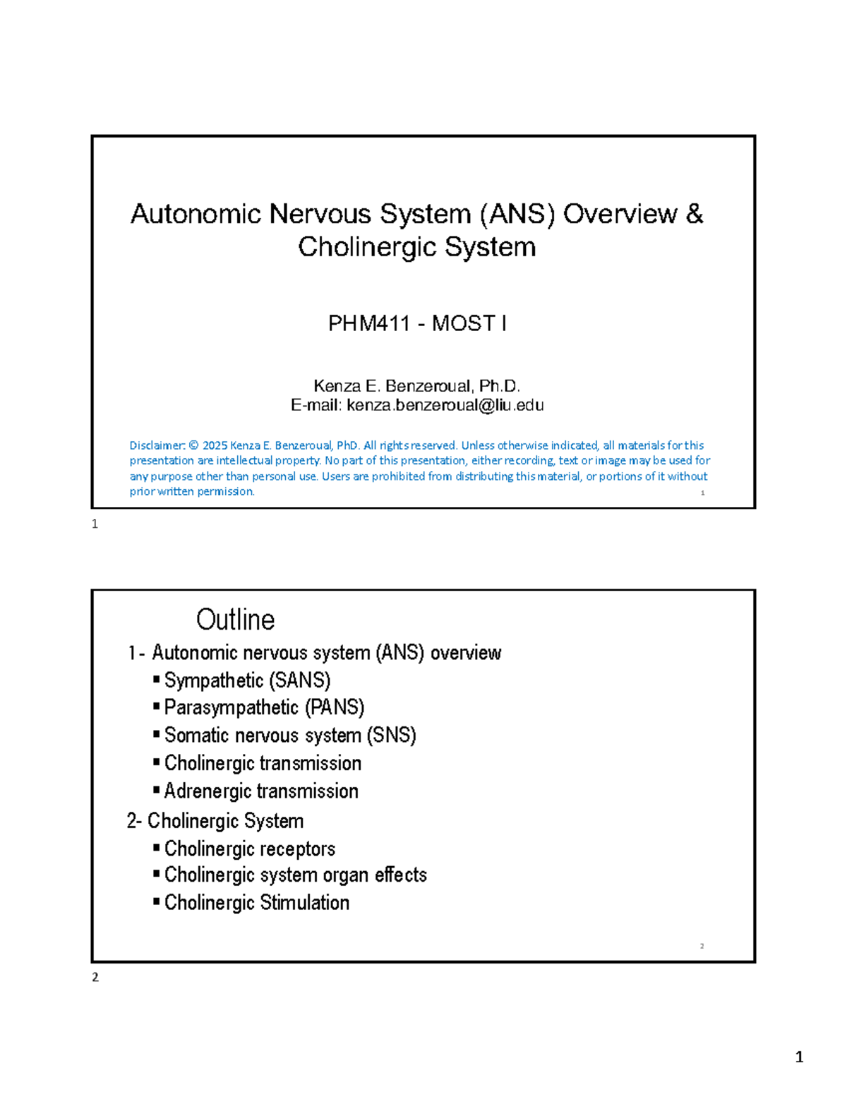 Autonomic Nervous System Overview & Cholinergic System - PHM411 Final ...