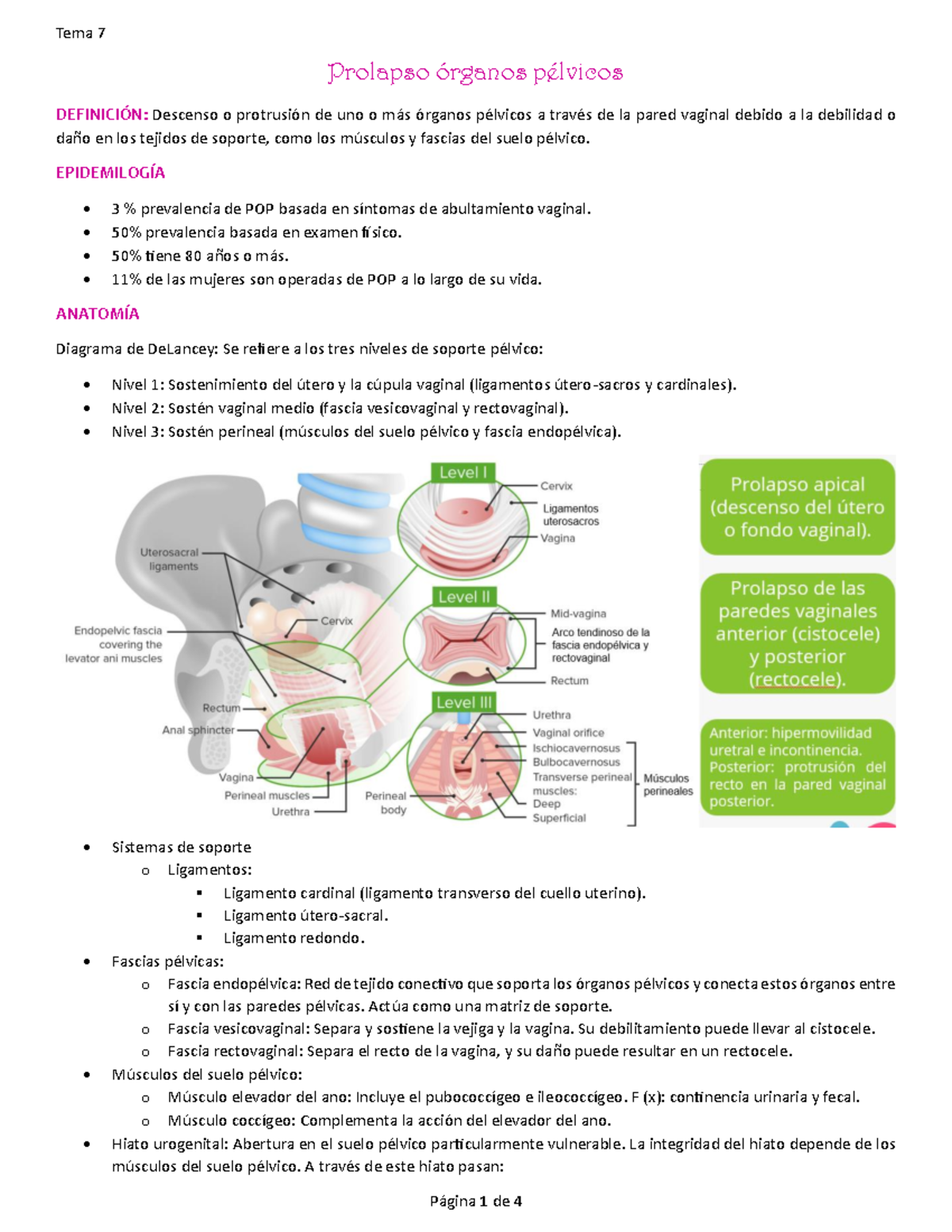 Estudio sobre Prolapso de Órganos Pélvicos: Definición y Tratamientos ...