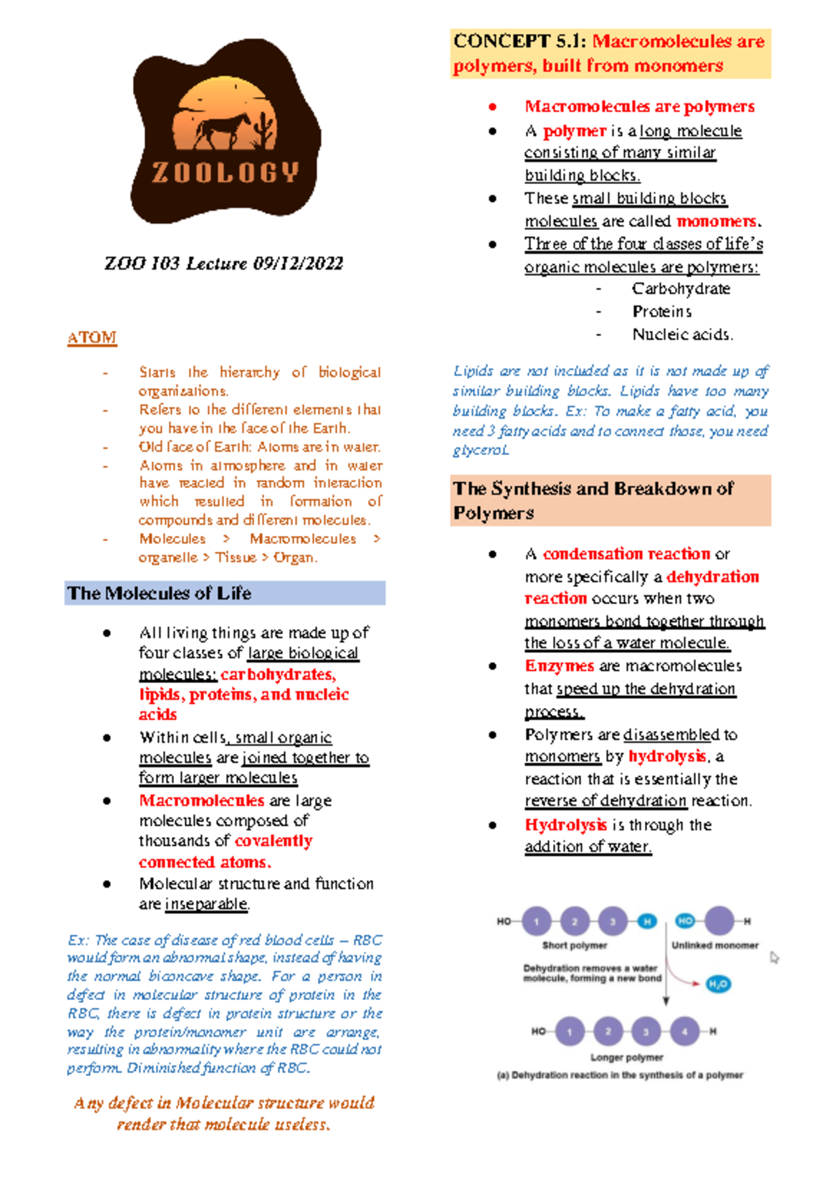 ZOO-103-9-12: Lecture on Macromolecules and Their Functions - Studocu