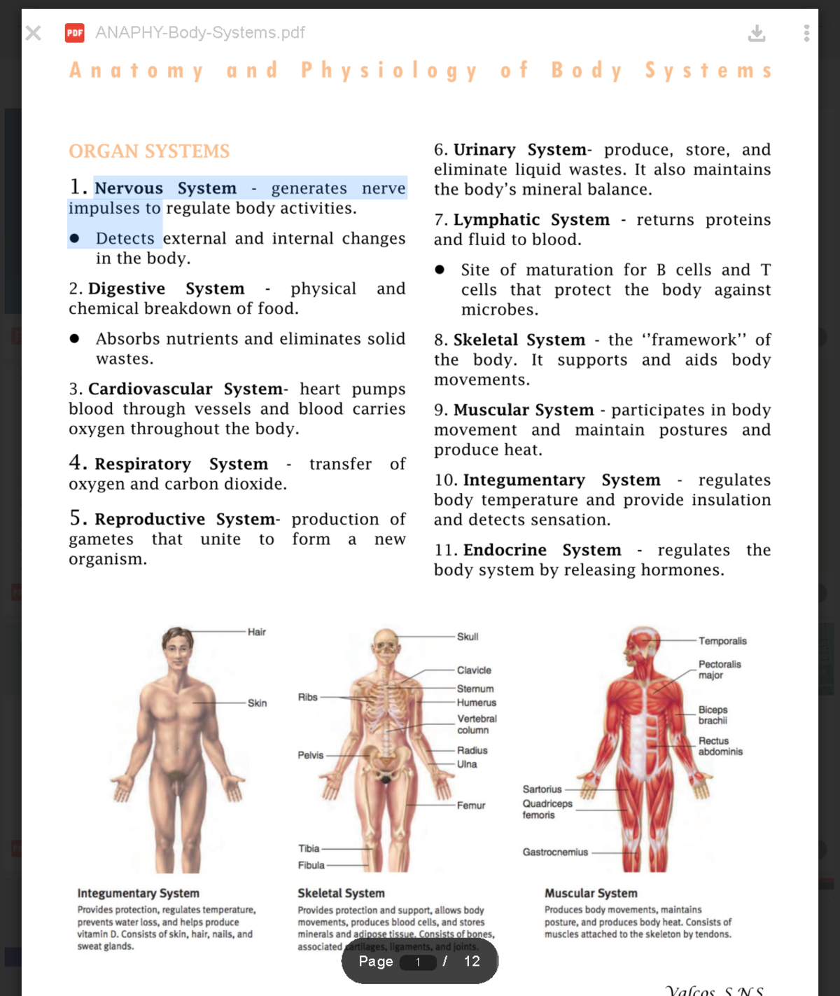 ANAPHY: Overview of Human Body Systems and Their Functions - Studocu