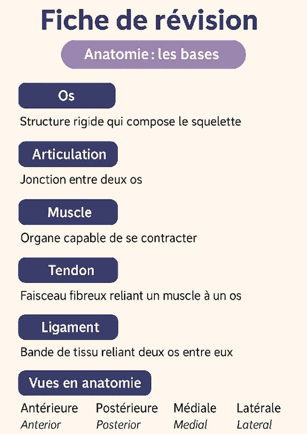 Lexique Anatomique: Bases de l'Anatomie et Terminologie Essentielle ...