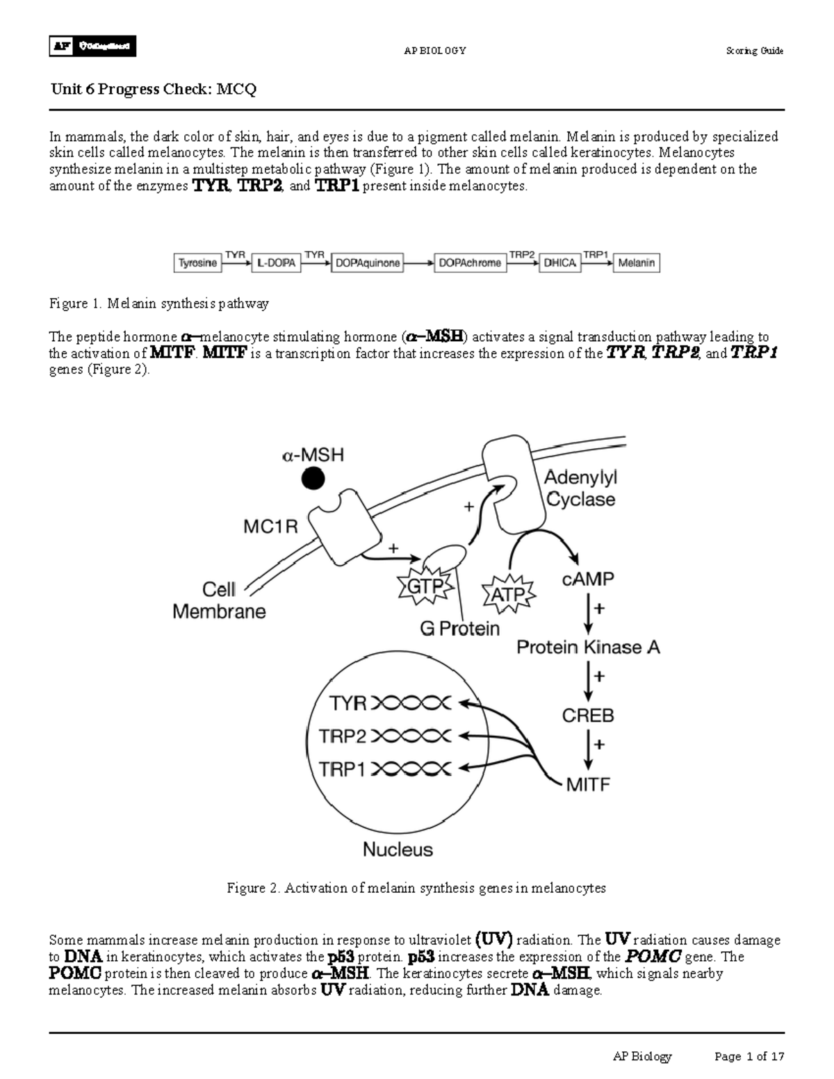 AP BIOLOGY Unit 6: Progress Check MCQ Review Notes - Studocu
