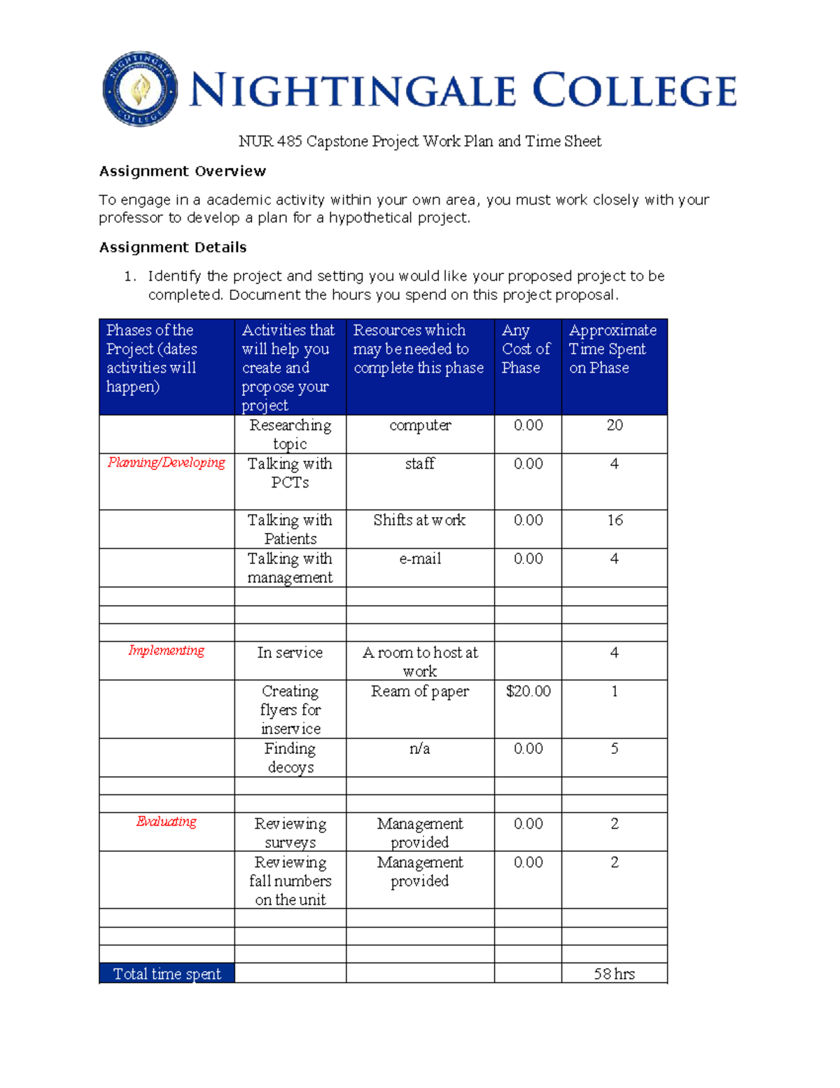 NUR 485 Capstone project work plan and time sheet final assignment - Studocu