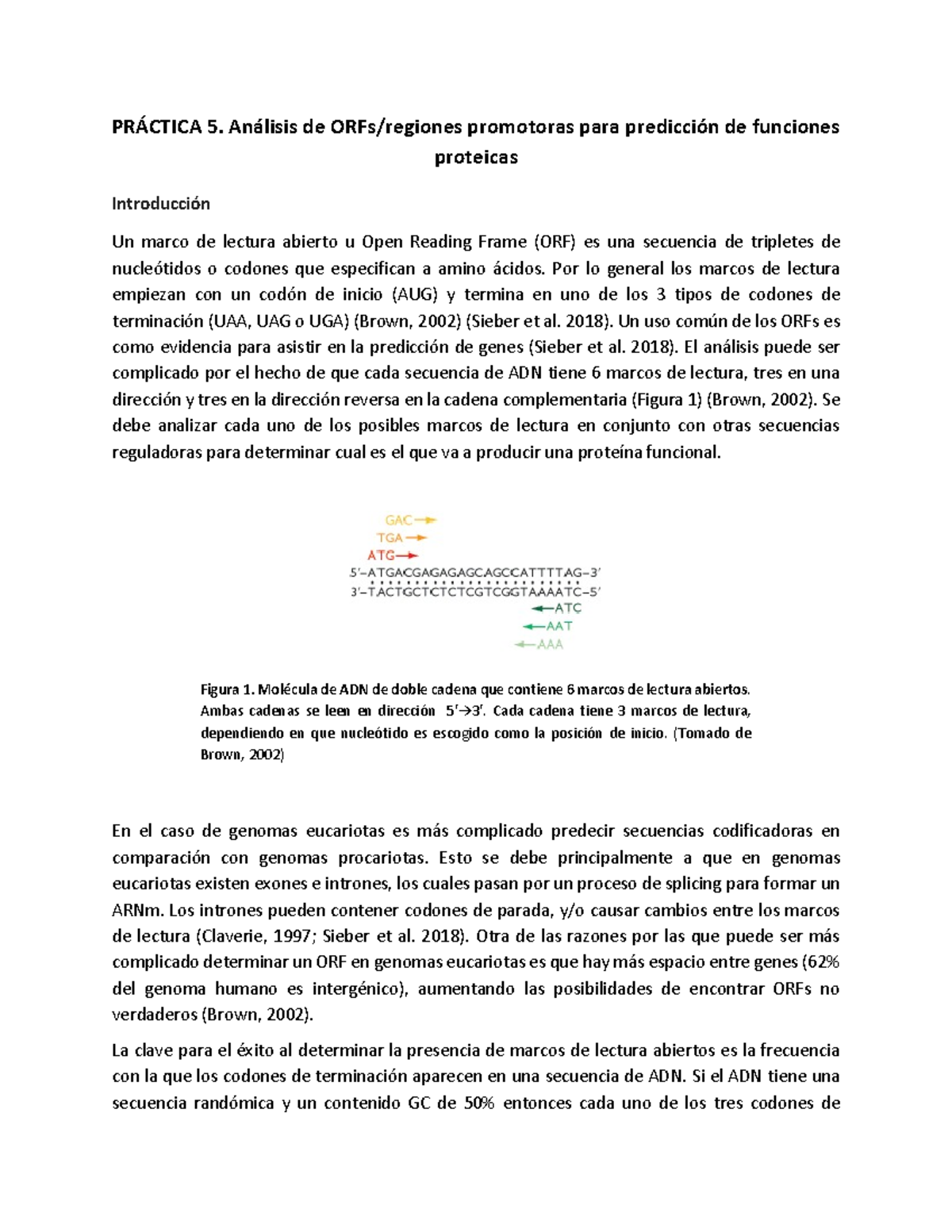 Análisis de ORFs y Regiones Promotoras en Práctica 5 de Genómica - Studocu